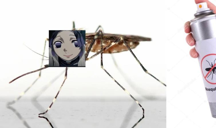 mosquito | Fandom