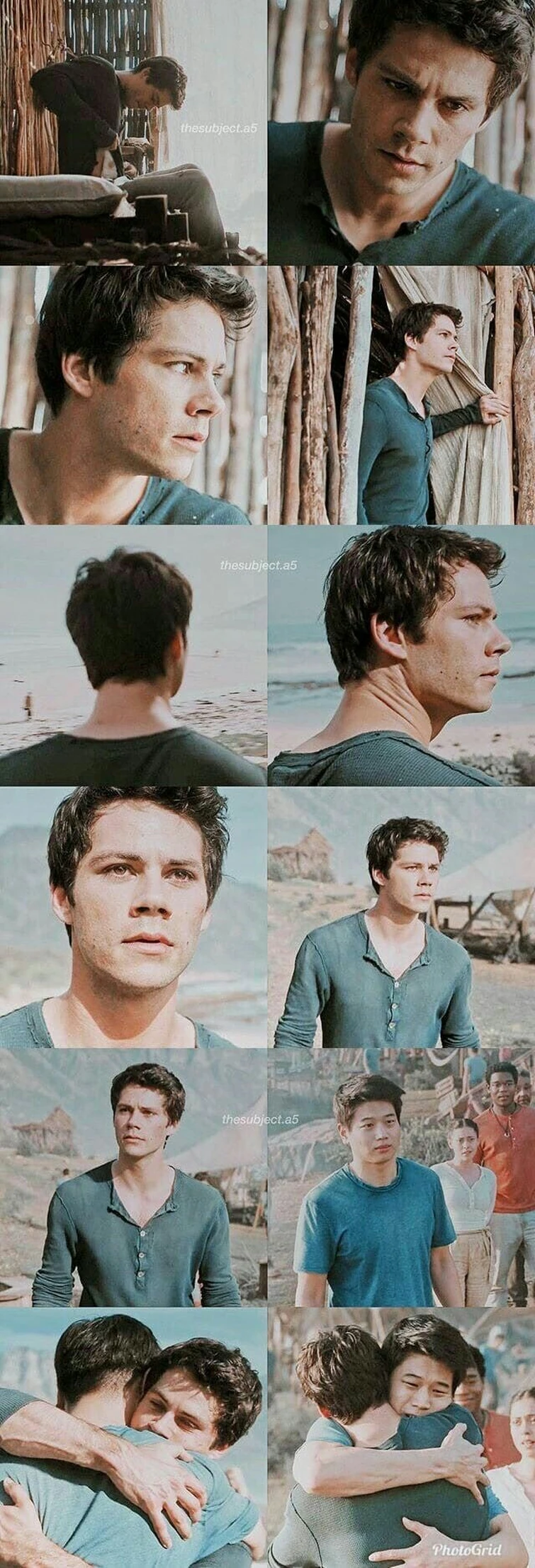 Discuss Everything About The Maze Runner Wiki | Fandom