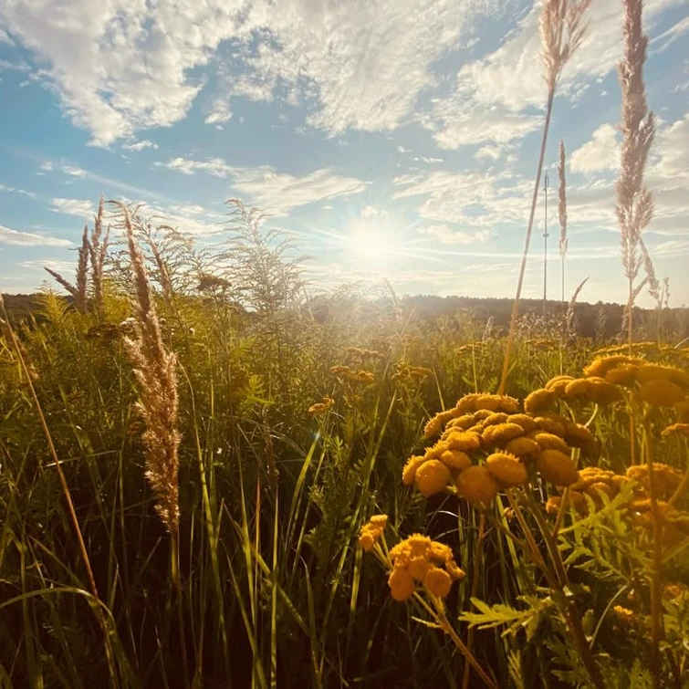 🍉🍦August Off-Topic Post🍦🍉 | Fandom