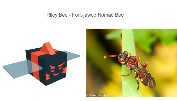 BSS Bees and their irl counterparts! Epics :) | Fandom