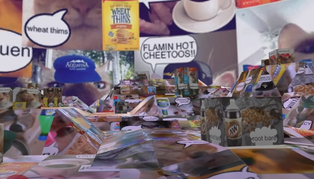 find the bingus | Fandom