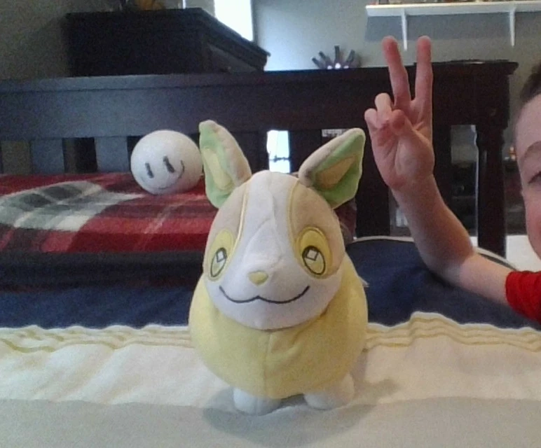 My Brother got an adorable Yamper Plushie !!! | Fandom