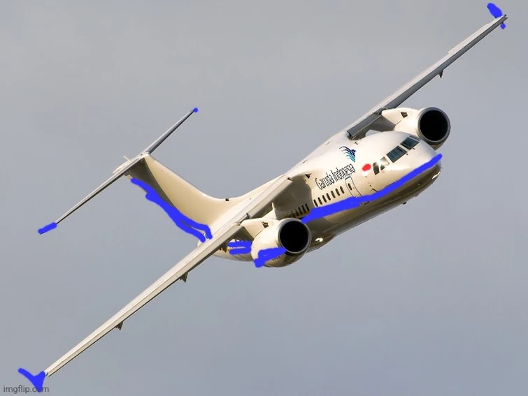 Discuss Everything About Virtual Aviation Accidents Wiki | Fandom