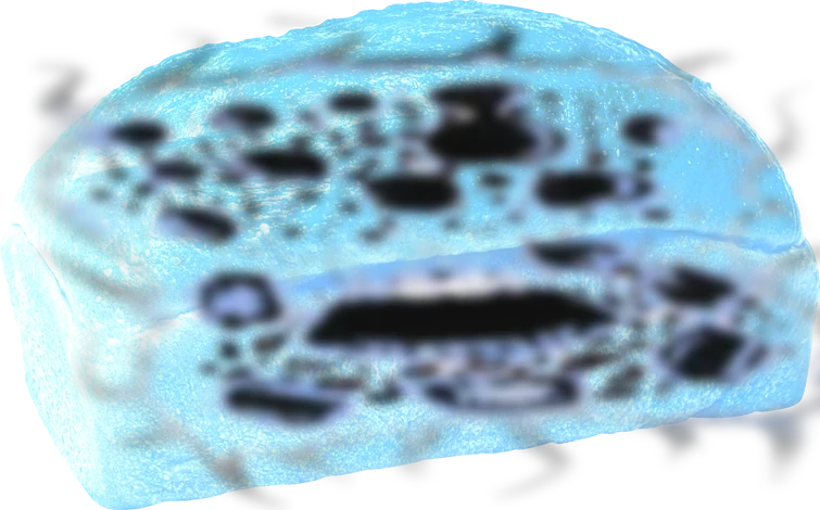 How to make Dread Bread. | Fandom