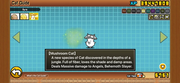 turtle shell cat is superior | Fandom