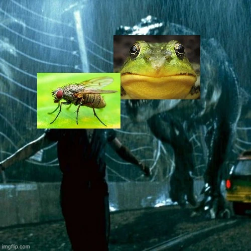if the dinos have frog dna... | Fandom