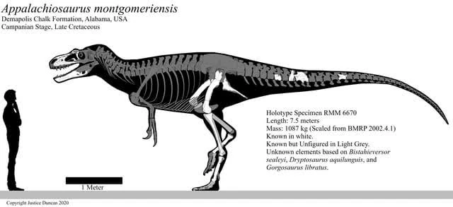 Appalachiosaurus appreciation post | Fandom