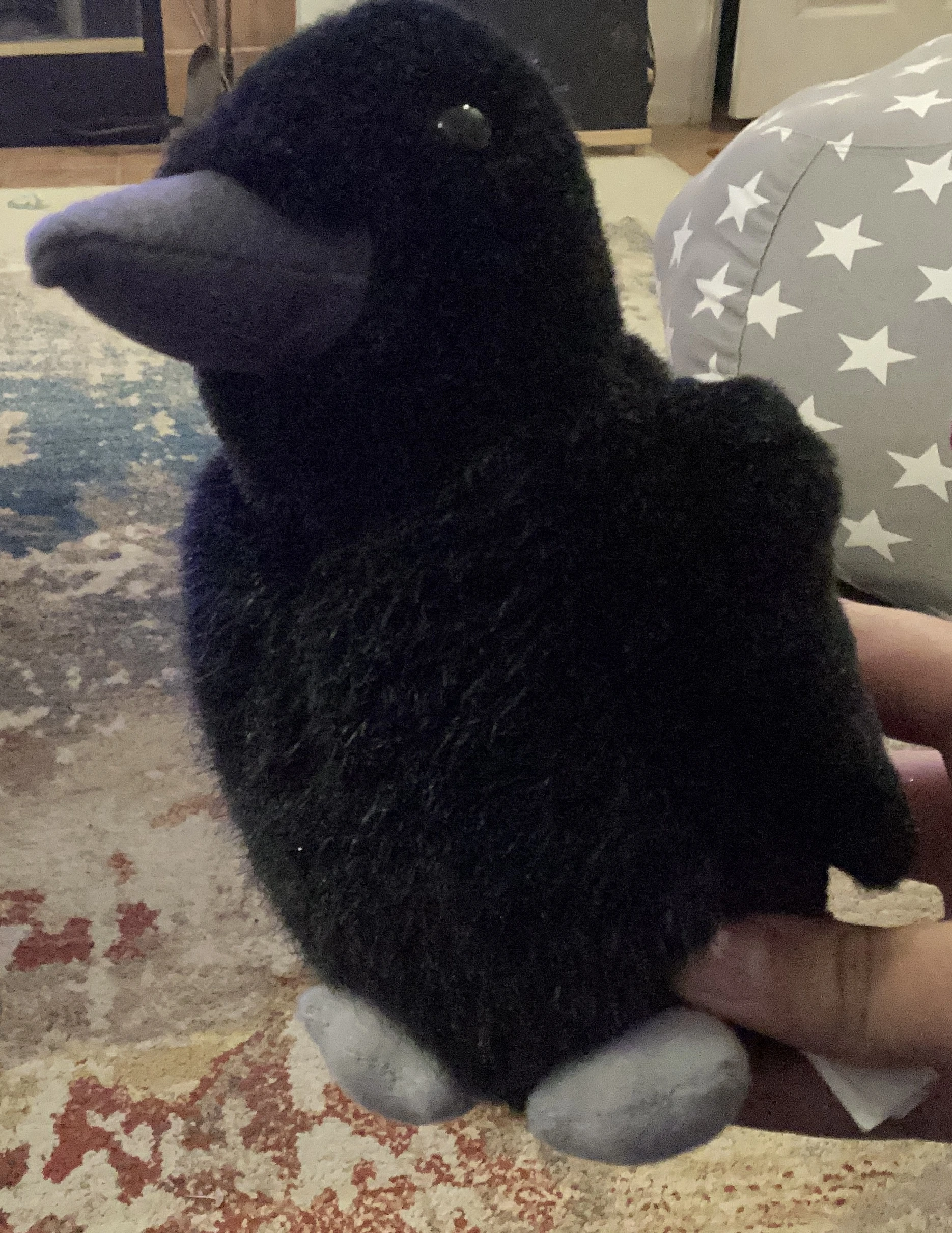 I got a crow plushie | Fandom