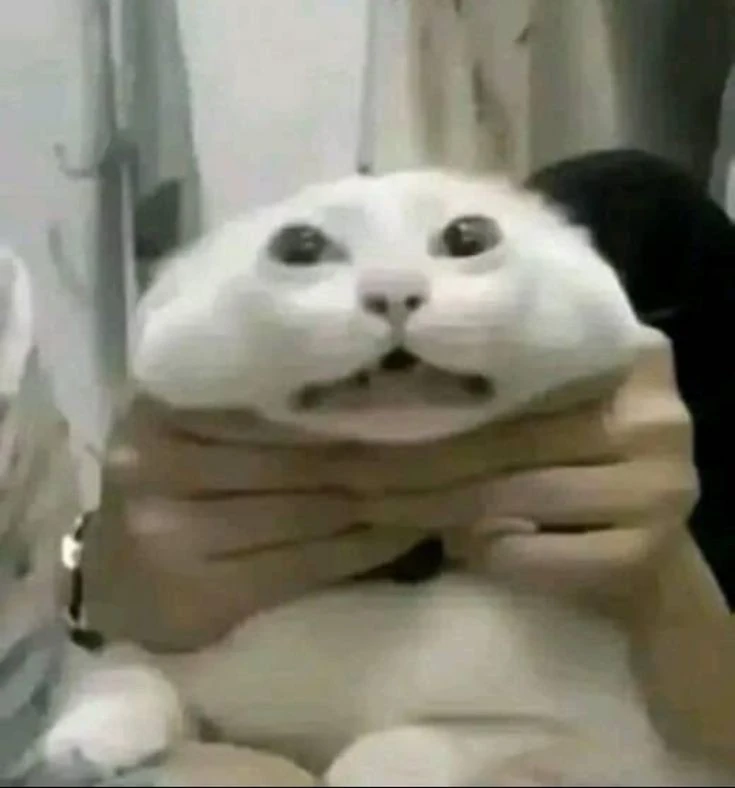 WHY ARE THE NEWS CALLING TWISTED DANDY EVIL BOX I NEED CONTEXT | Fandom