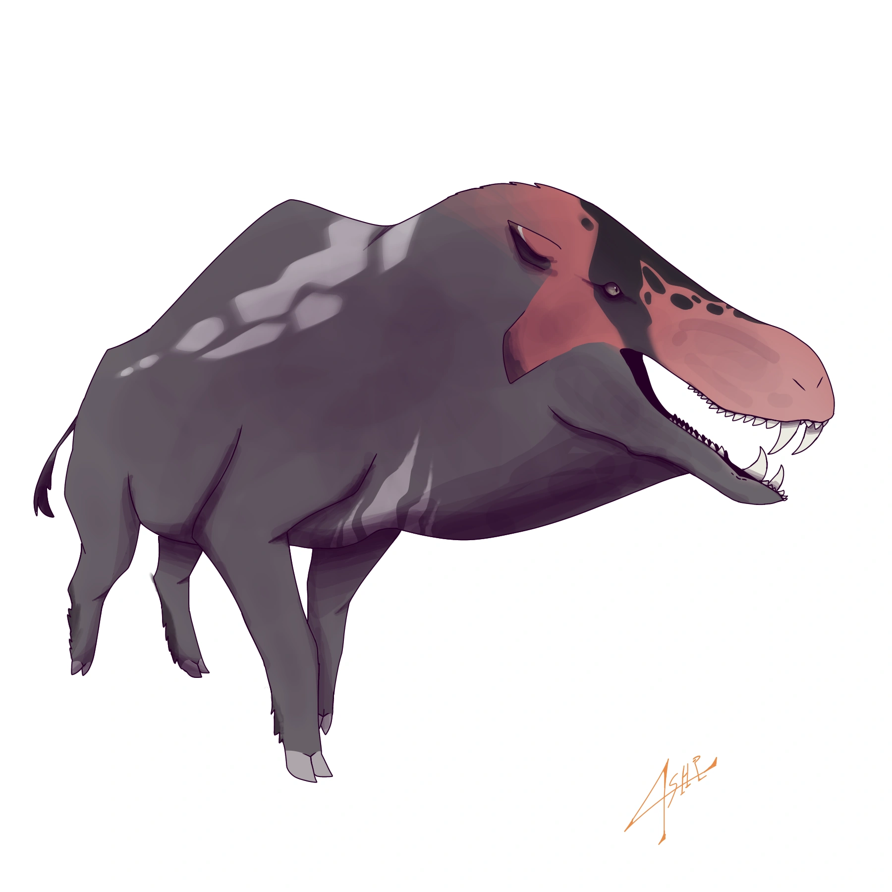 entelodon drawing (decided to use that one skeletal image as a ...