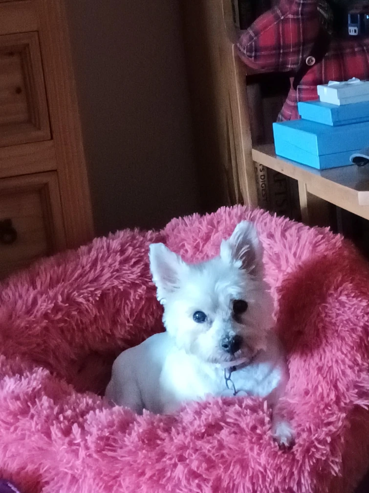 do you like my caca | Fandom