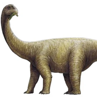 Discuss Everything About Dinopedia | Fandom