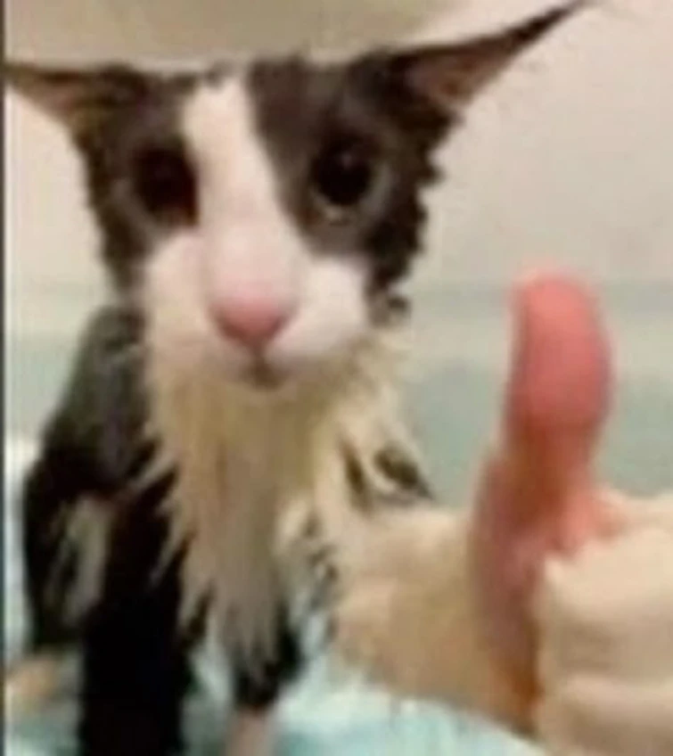 guys what do you think of these looey and yatta fan design sketches ...