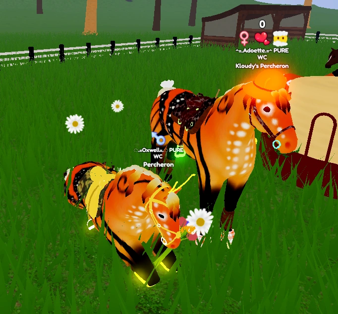 Showing off my pure wc monarchs! | Fandom