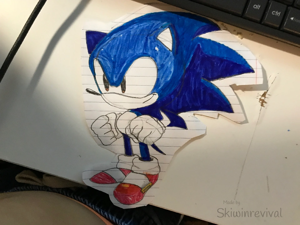 Classic Sonic fanart made IRL | Fandom