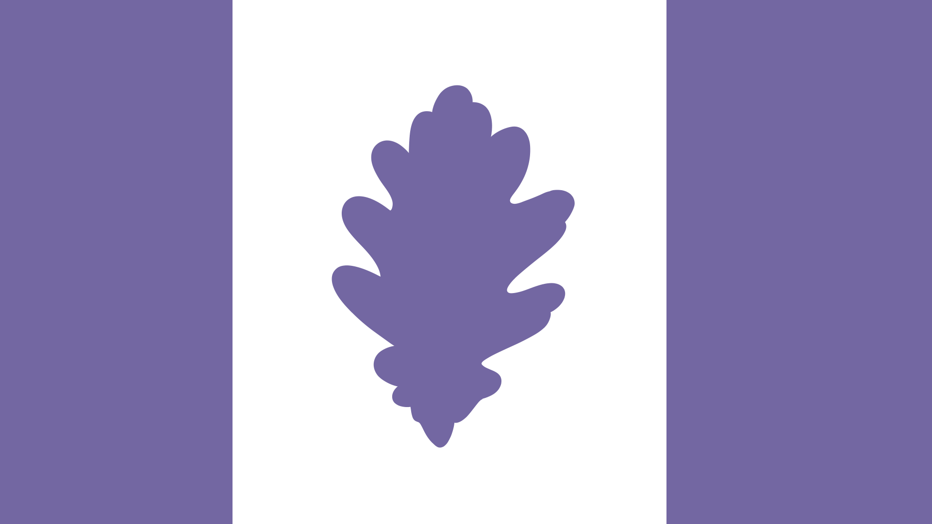 The national Oaksdale Flag! | Fandom