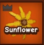 Sunflower.. 2??? | Fandom