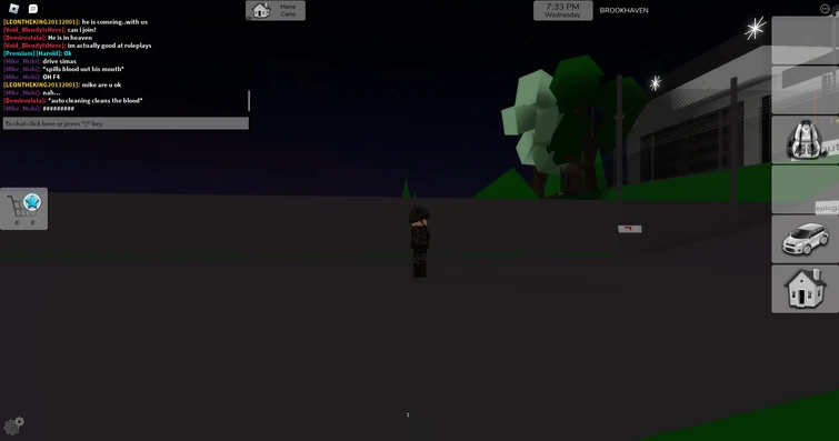 Discuss Everything About Official Brookhaven Wiki | Fandom