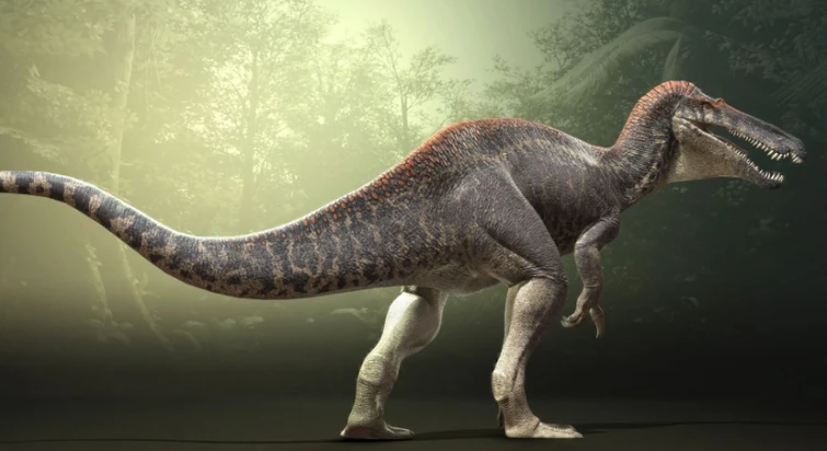 Largest Species's of Spinosaurids, Ranked from Biggest to Smallest (One ...