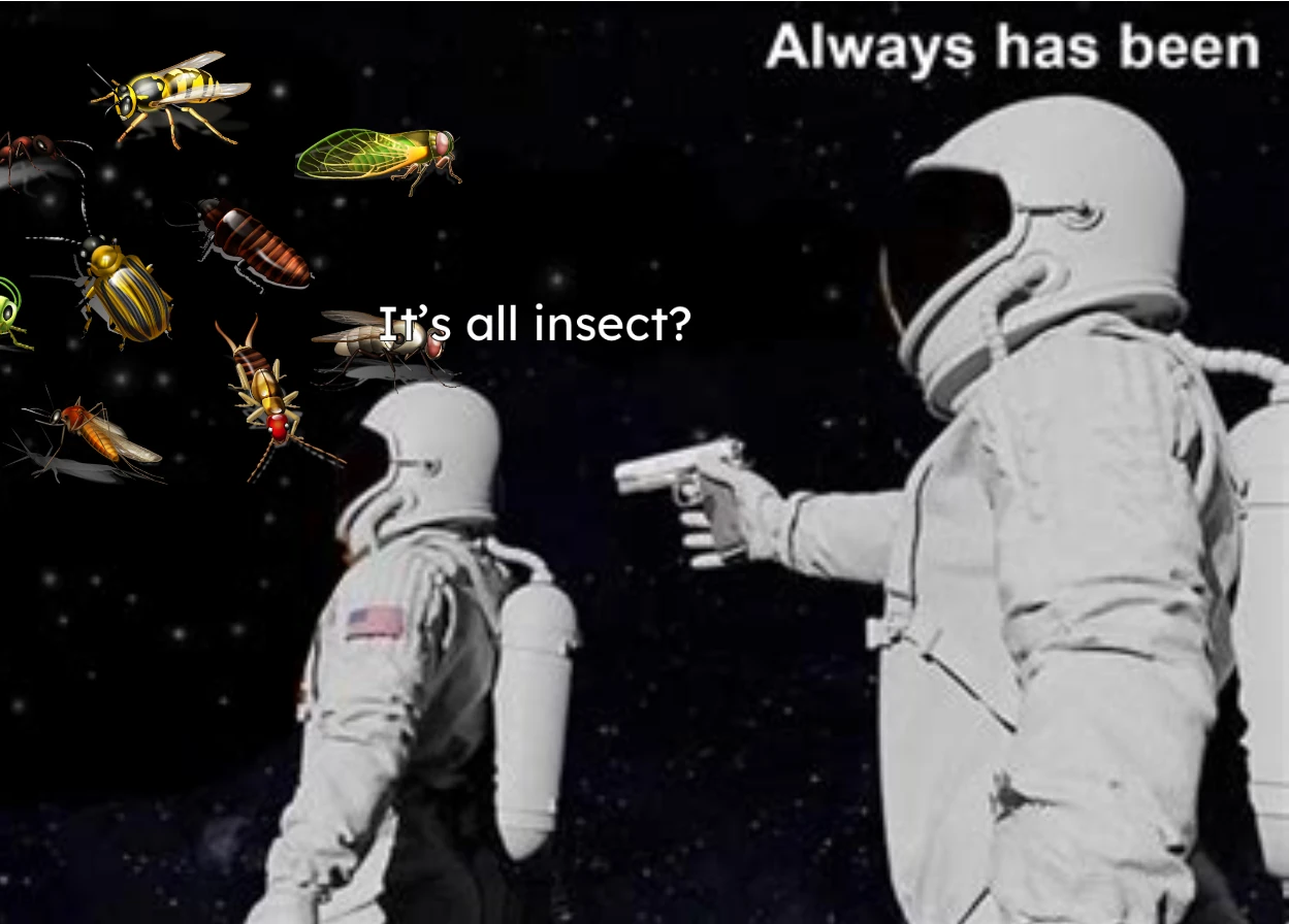 Ura is a insect | Fandom