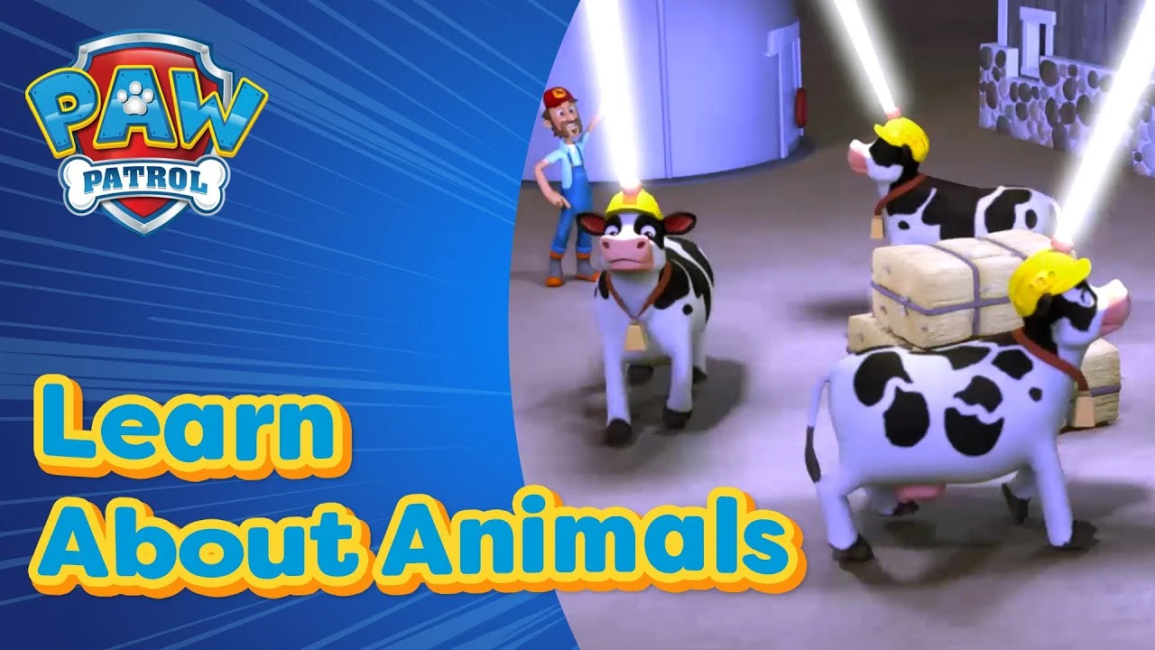 New Paw Patrol Yt vid | Fandom