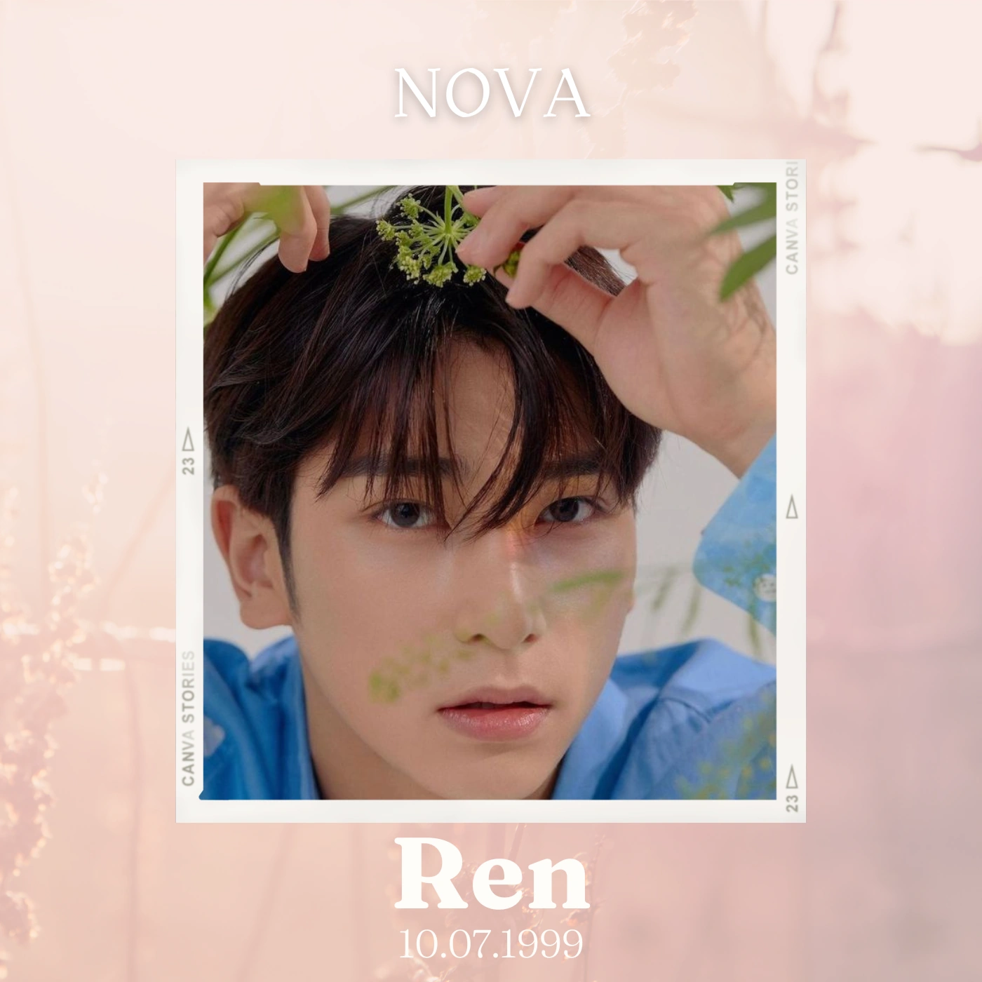 𝓷𝓸𝓿𝓪’𝓼 𝓶𝓮𝓶𝓫𝓮𝓻𝓼 + 𝓪𝓷𝓷𝓸𝓾𝓷𝓬𝓮𝓶𝓮𝓷𝓽 | Fandom