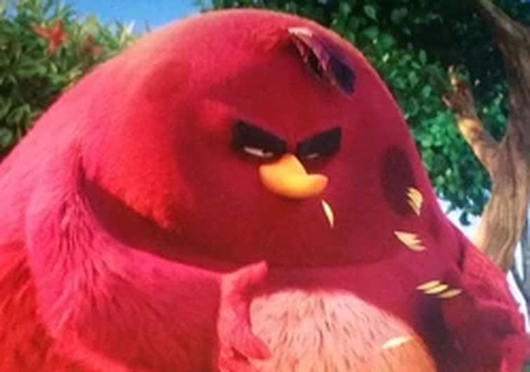 NPG Proposal: Terence (The Angry Birds Movie) | Fandom