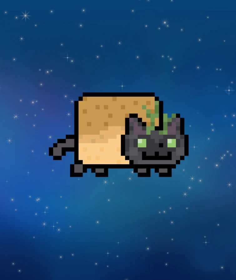 Who wants their profile picture turned into a nyan cat | Fandom