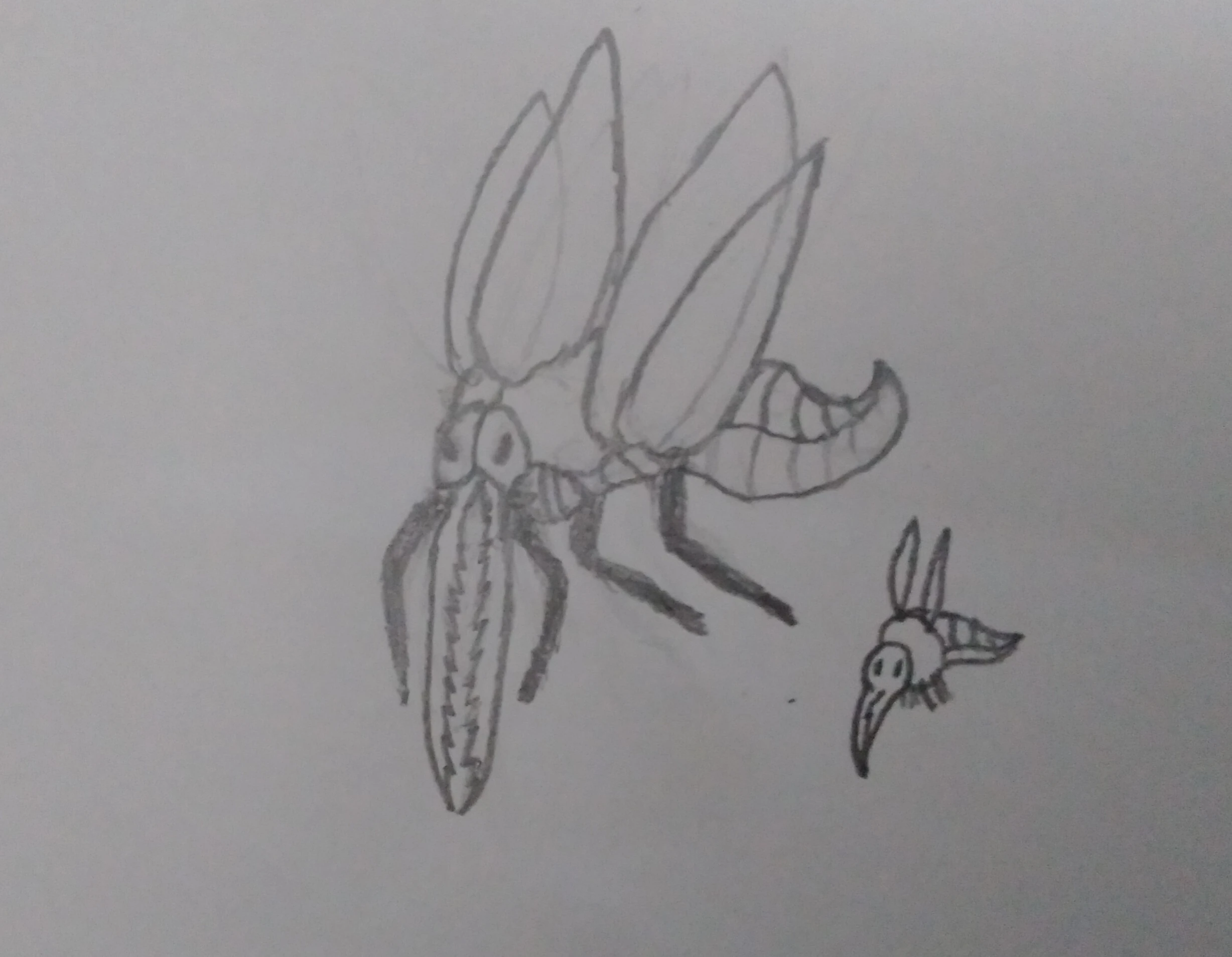 Dobsonfly Vengefly | Fandom