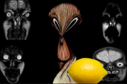 Phase 34.5 trys lemon | Fandom