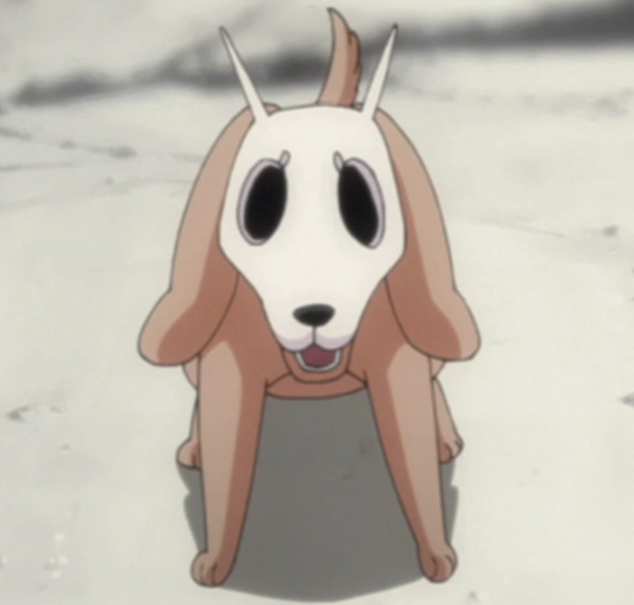 What happened to Kukkapūro | Fandom