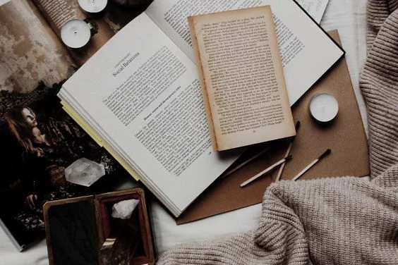 Aesthetics Quiz | Fandom