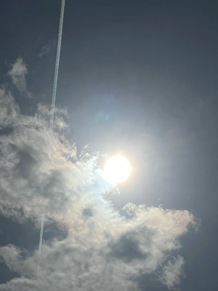 Just saw the solar eclipse | Fandom