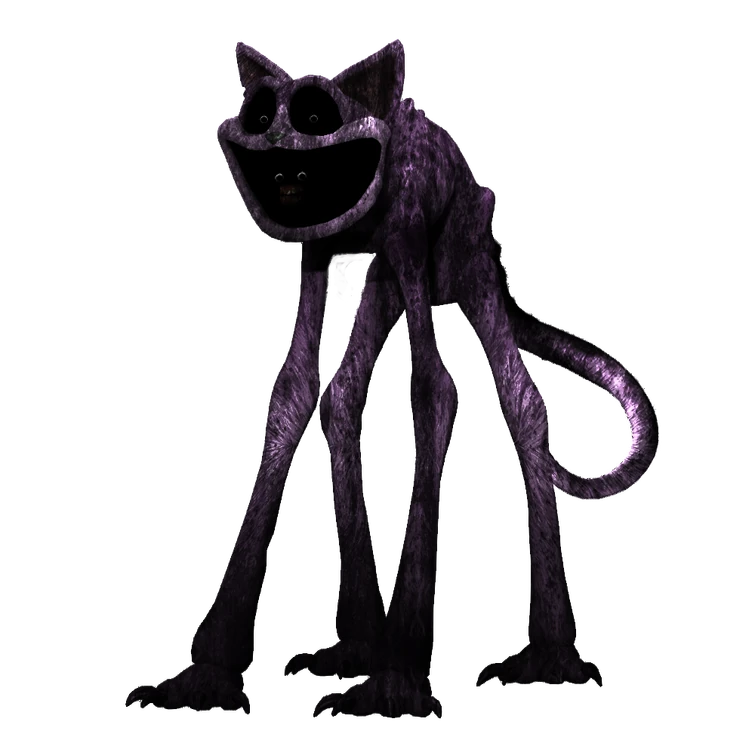 kuddle kitty | Fandom