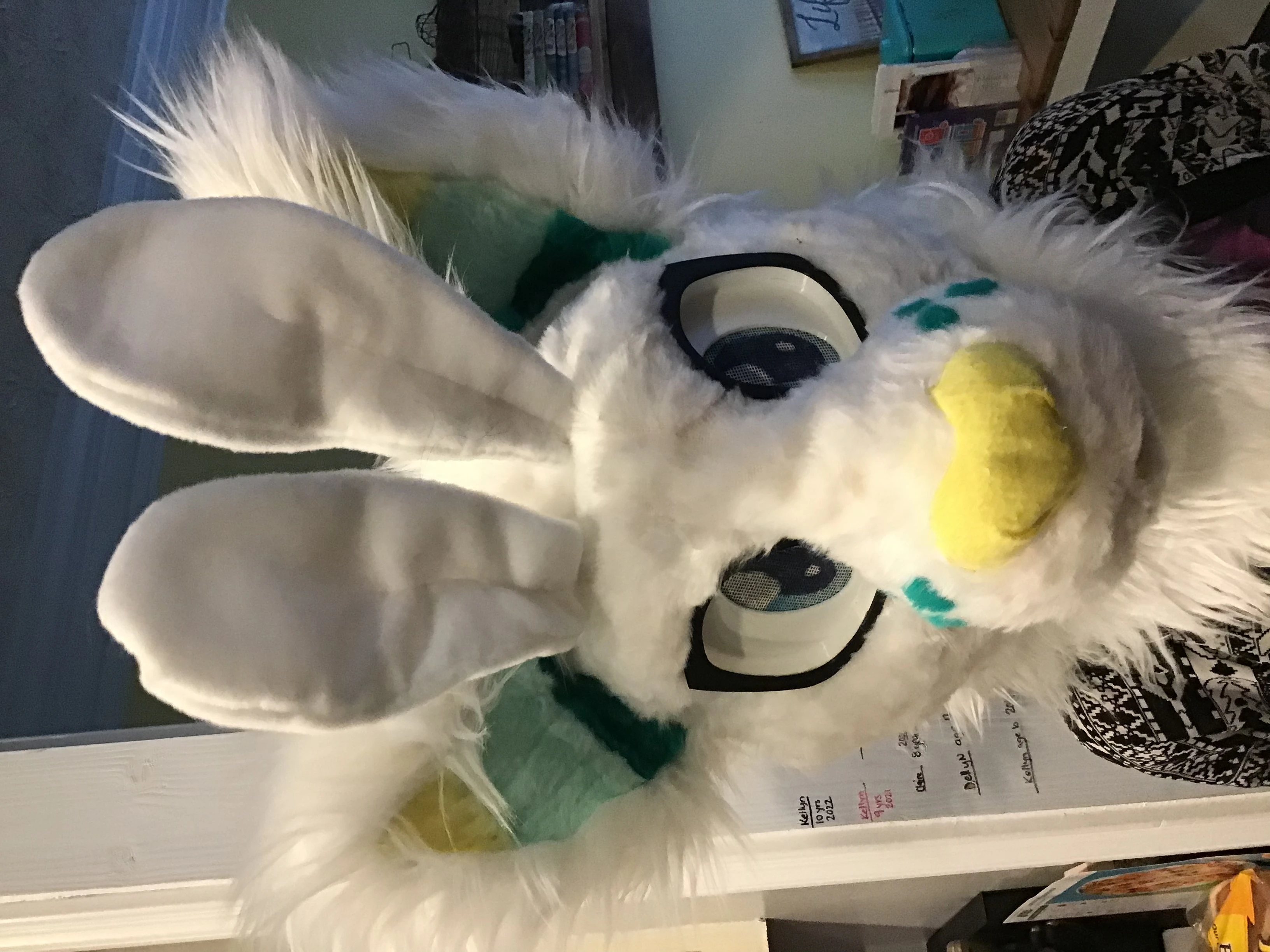 FaCe ReAvEaL!!!,! | Fandom