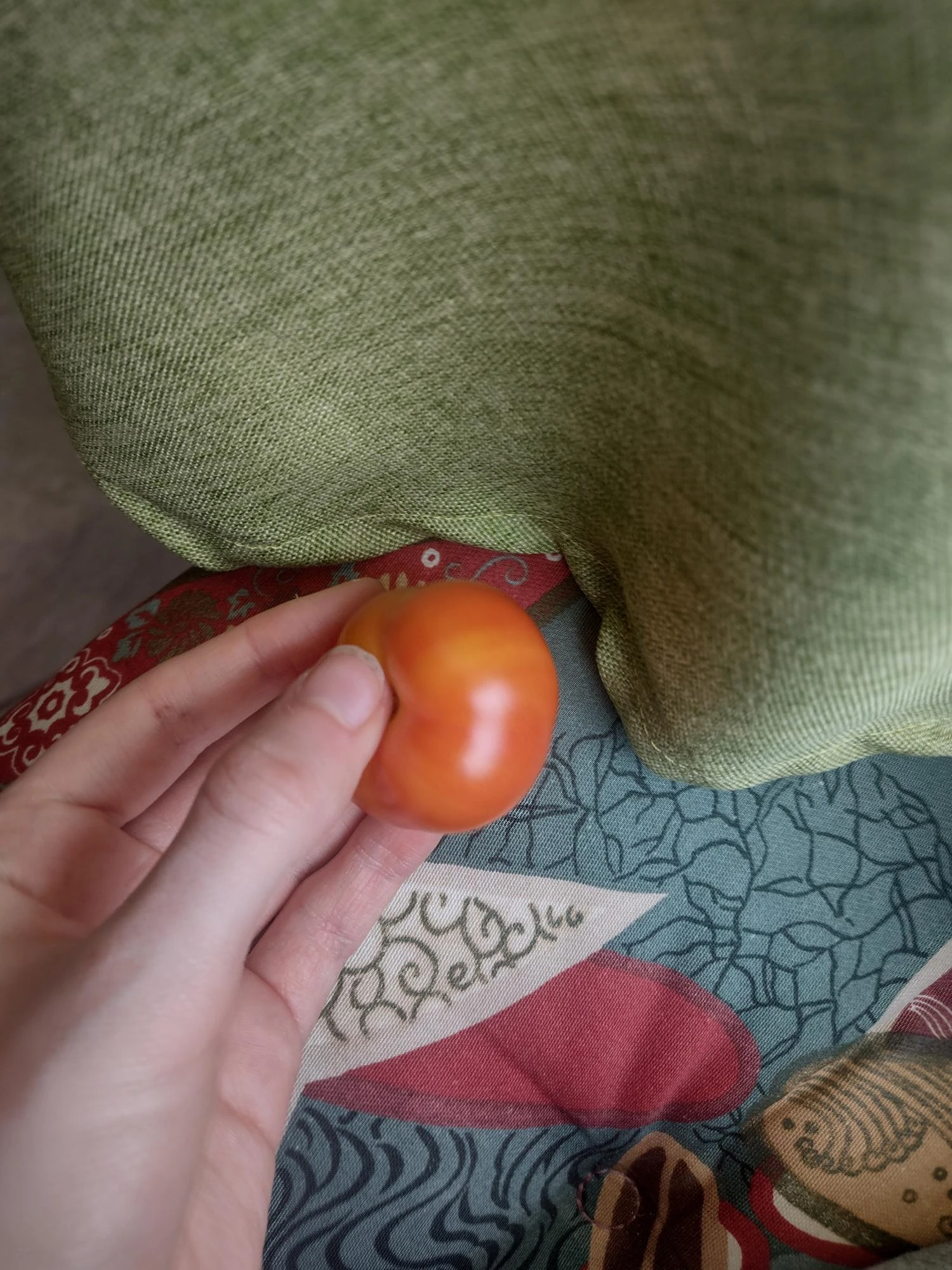 My grandma gave me a tomato | Fandom