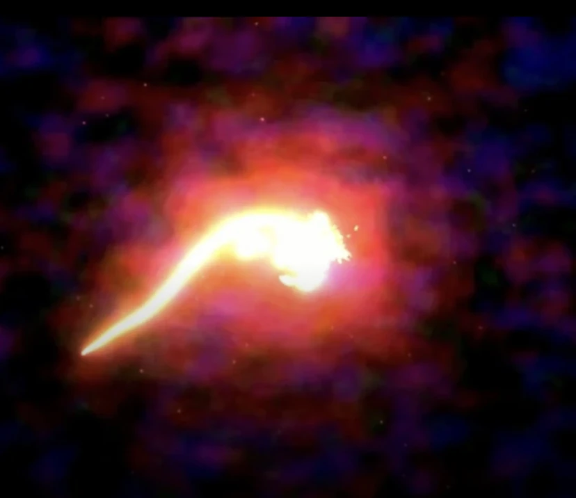 Horned serpent photos | Fandom