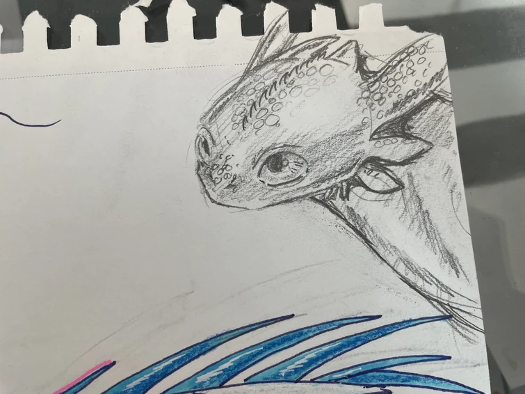 Toothless sketch ⚡️ | Fandom