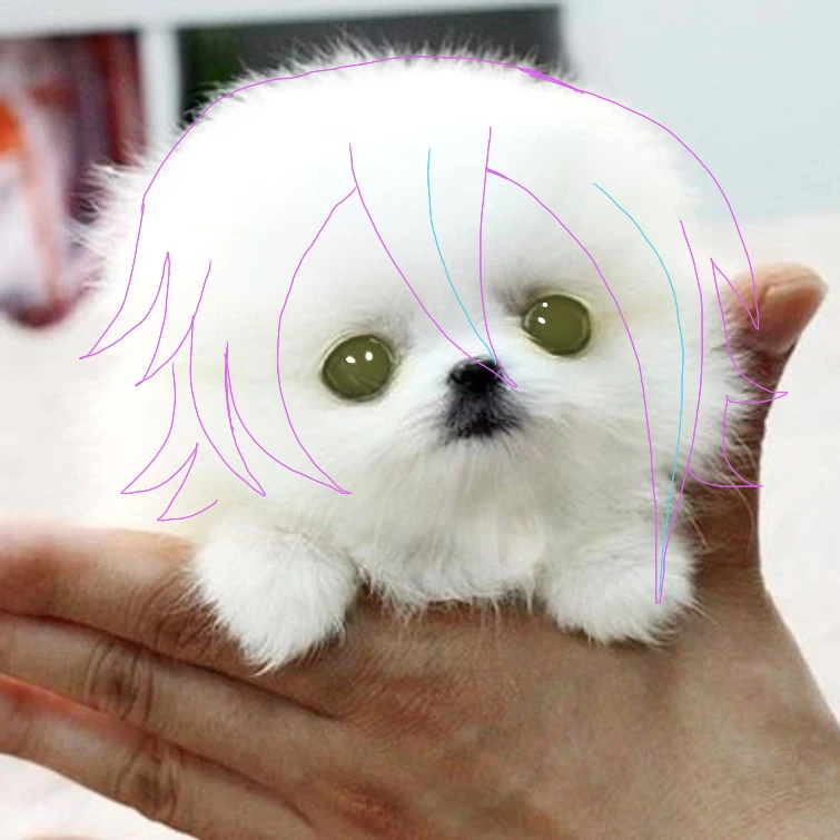 Pls look at the rui puppy | Fandom