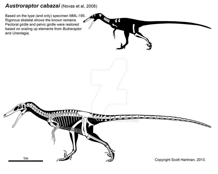 My Austroraptor art | Fandom