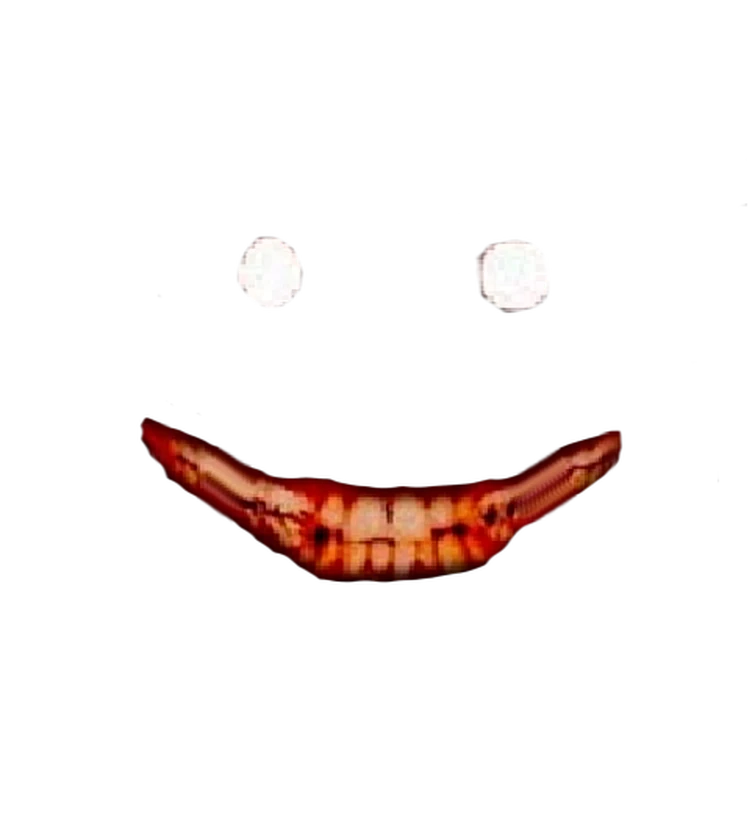 Start Arguing | Fandom