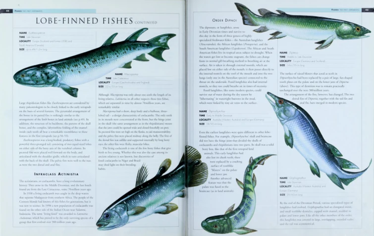 Fishes | Fandom