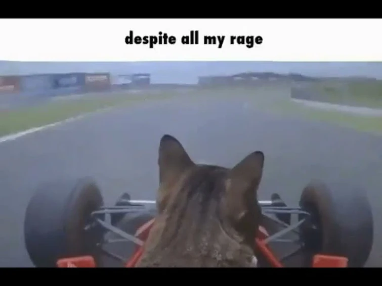 despite all my rage.... | Fandom