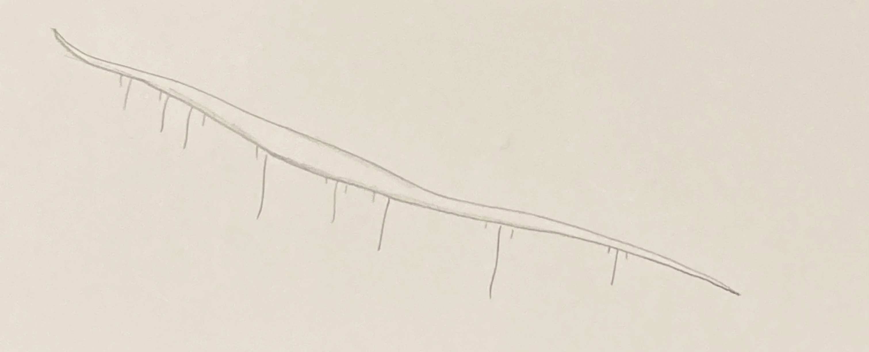 File Catalog 1: Subject A1 Log | Fandom