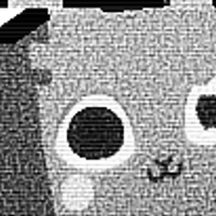 Exclusive Pet Egg Idea: Exclusive Glitched Egg (2/3) | Fandom