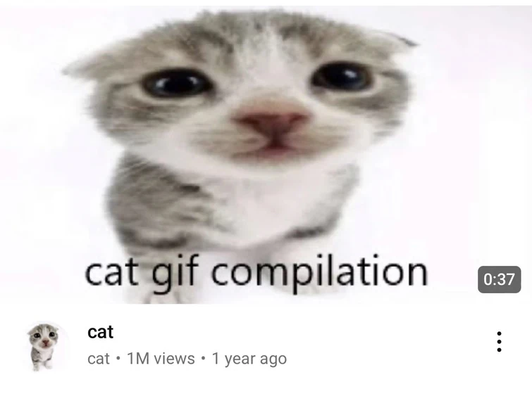 I’m gonna go to eep maybe | Fandom