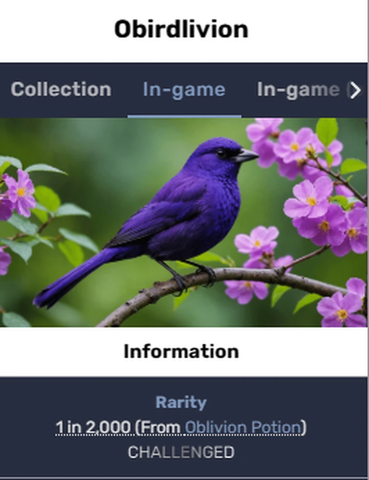 more bird rng birds | Fandom