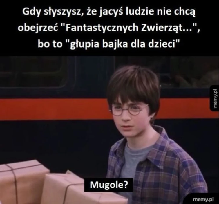 Memy harry potter | Fandom