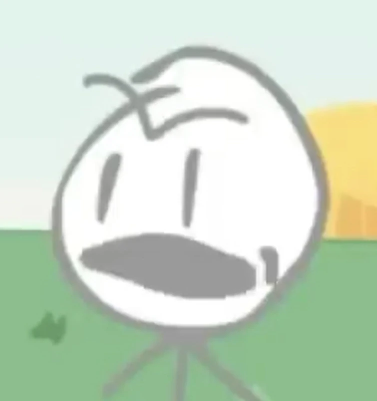 The BFDI hunger games | Fandom