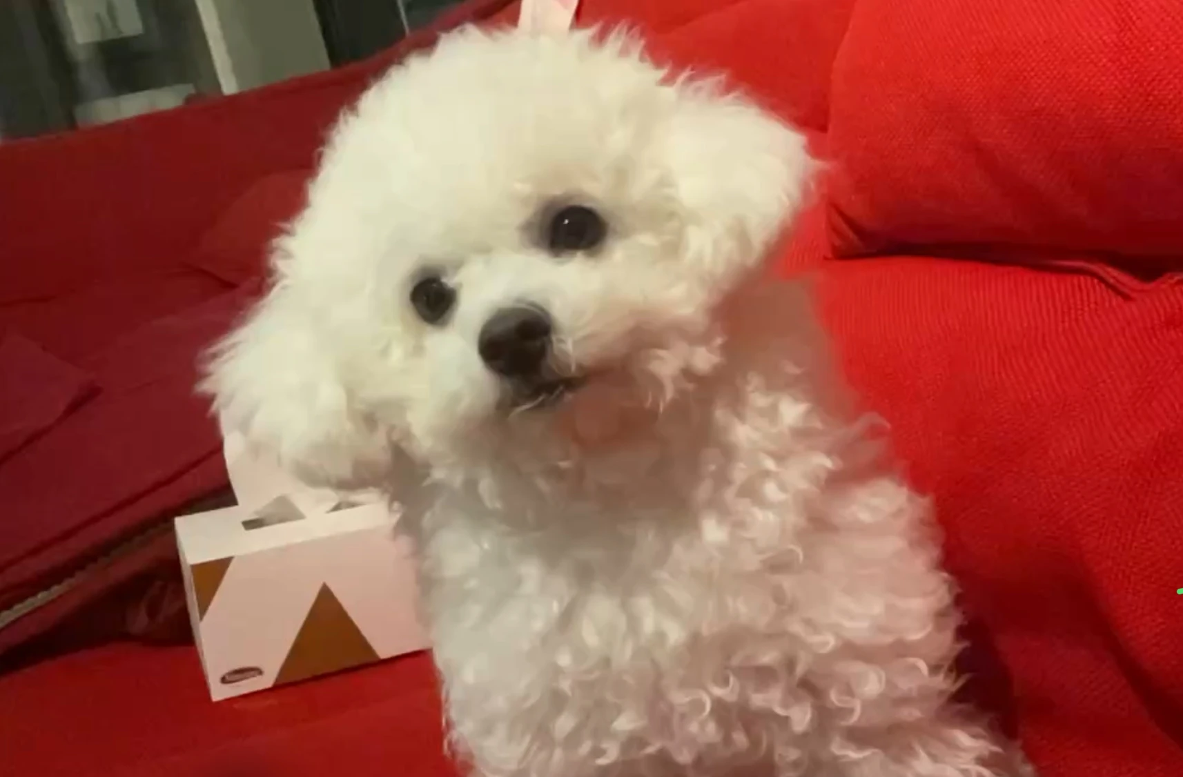 (offtopic) THIS WAS CINNA LAST CHRISTMAS!!! | Fandom